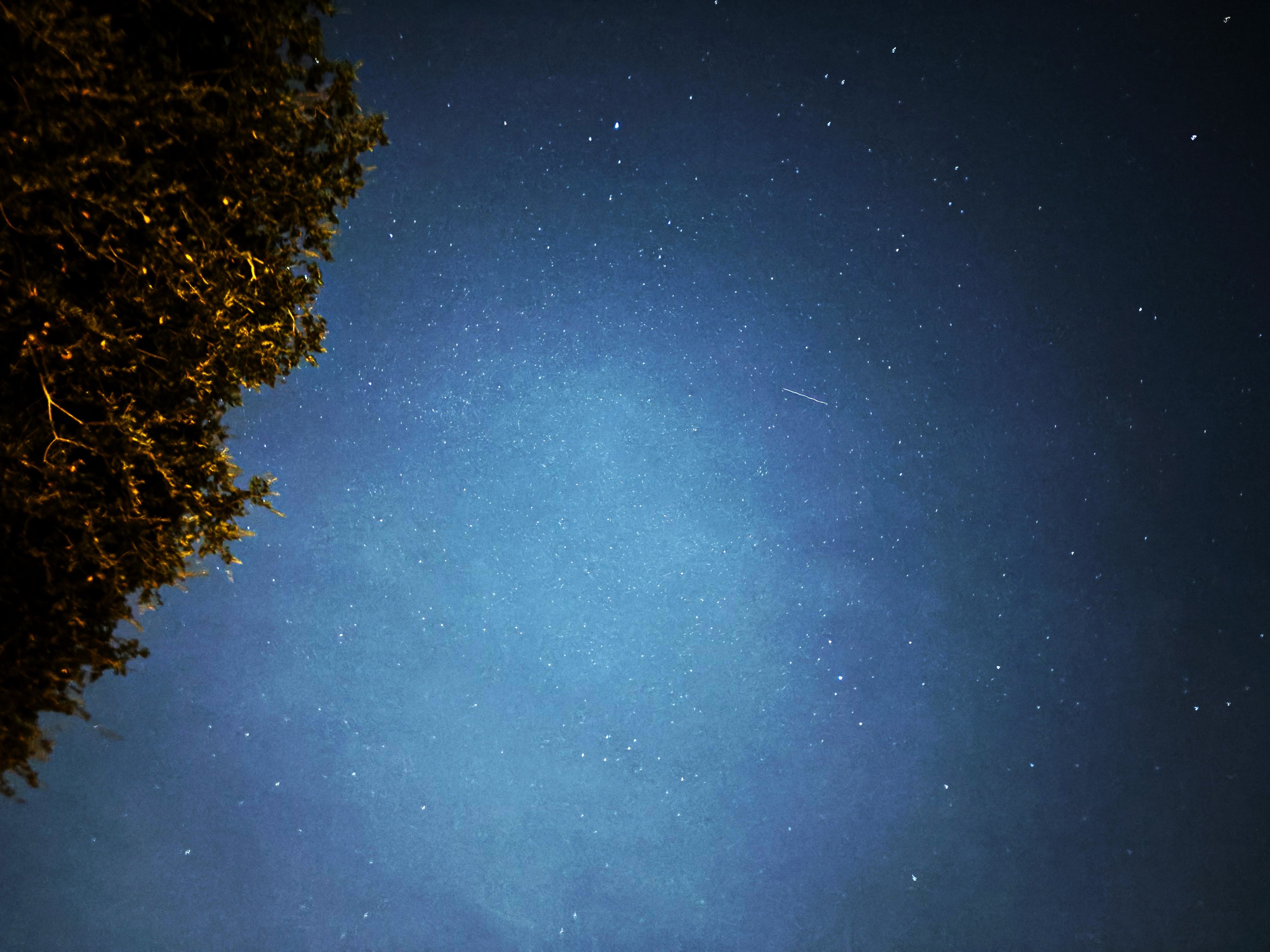 My Journey – Hansen Space